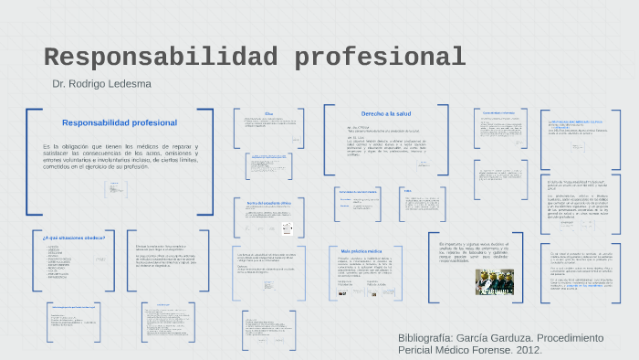 Responsabilidad profesional by jorge moreno on Prezi