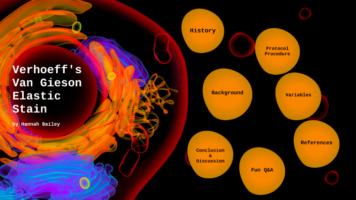 Verhoeff's Van Gieson Elastic Stain by Hannah Bailey on Prezi