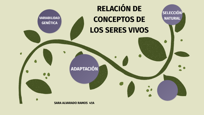Relación de conceptos by Sara Alvarado Ramos on Prezi