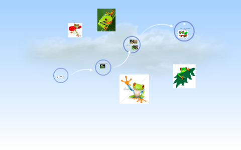 food chain of a frog by Rebecca Hosie on Prezi