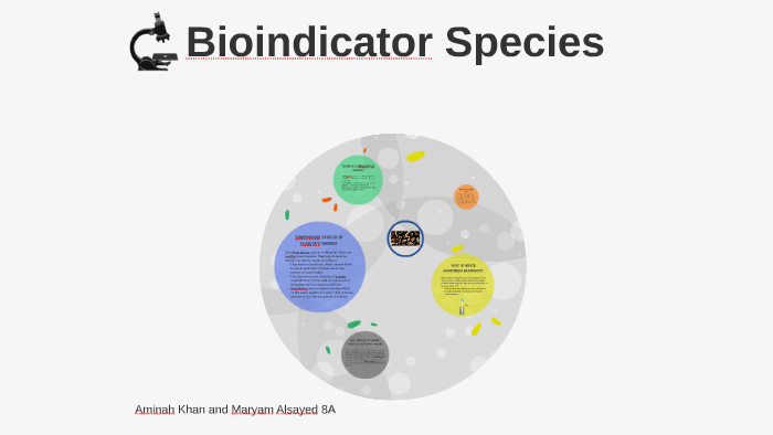 Bioindicator Species by Maryam Alsayed on Prezi
