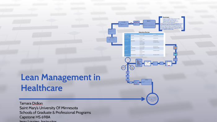 Lean Management in Healthcare by Tamara Didion