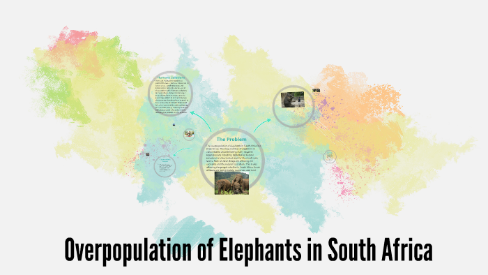 Overpopulation of elephants in south africa by Prita Varghese on Prezi