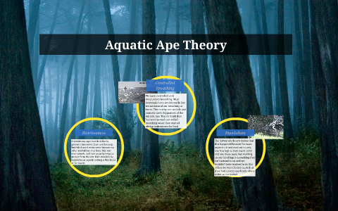 Aquatic Ape Theory by Sarah ROse on Prezi