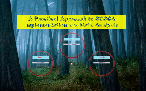 A Practical Approach to SOSCA Implementation and Data Analys by Elaine ...