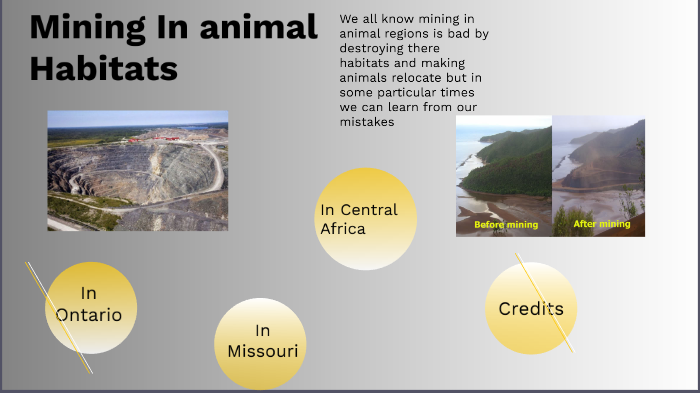 Mining in Animal habitats by Sean Baybik on Prezi