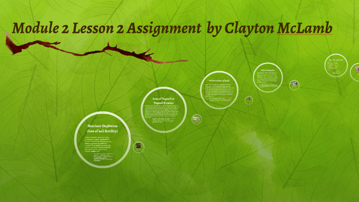 Module 2 Lesson 2 Assignment by Clayton Mclamb