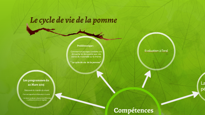 Le cycle de vie de la pomme by so go on Prezi