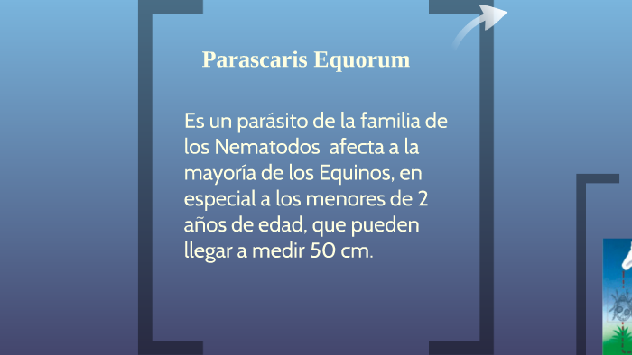 Parascaris equorum by on Prezi