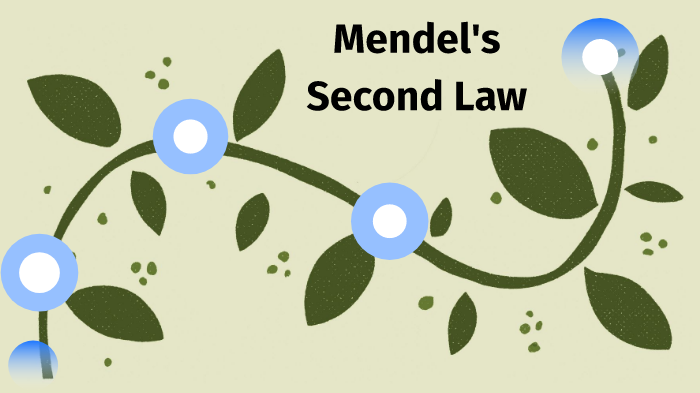 Mendel's Second Law by paolita sarmiento on Prezi
