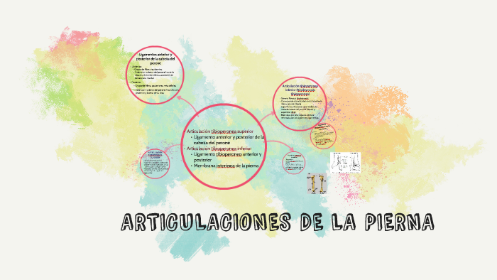 ARTICULACIONES DE LA PIERNA by Itzel Salgado on Prezi