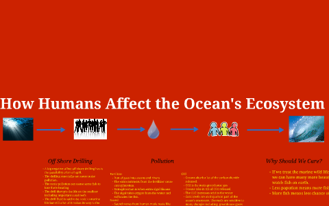 How Humans Affect the Ocean's Ecosystem by Maggie Sodders on Prezi