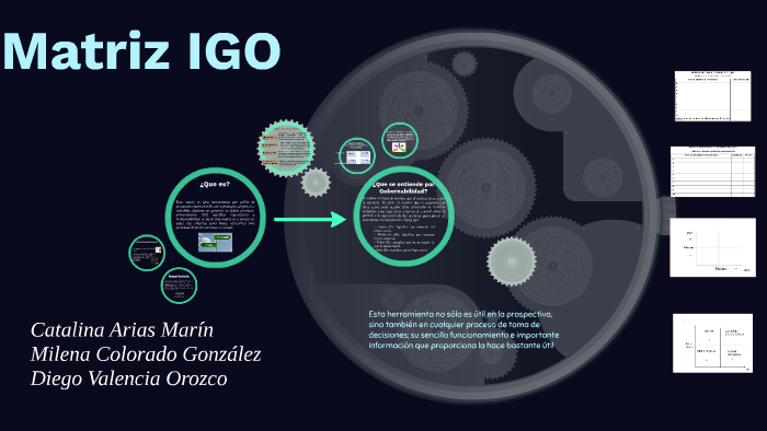 Matriz IGO by catalina arias on Prezi