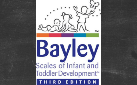 Bayley scales of infant and toddler development by Rachel Mclean on Prezi