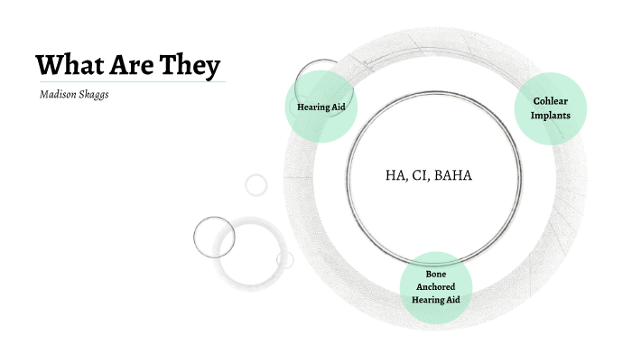 What Are They by Madison Skaggs on Prezi