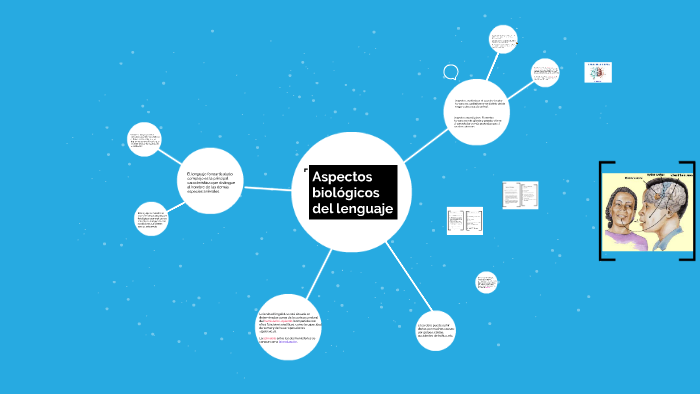 Aspectos biológicos y by miguel sánchez-soto on Prezi