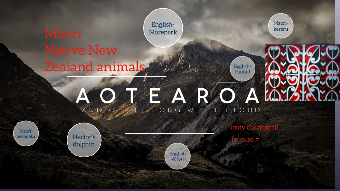 Native New Zealand animals in Maori by Jonty Caccioppoli on Prezi