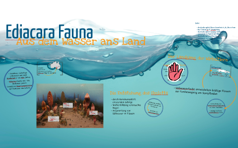 Ediacara Fauna by - - on Prezi