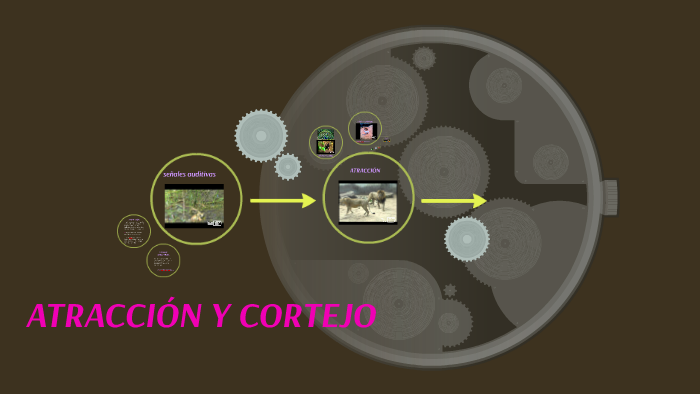 ATRACCIÓN Y CORTEJO by Gina Macias on Prezi