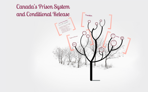 Canada's Prison System and Conditional Release by Aric McPherson on Prezi