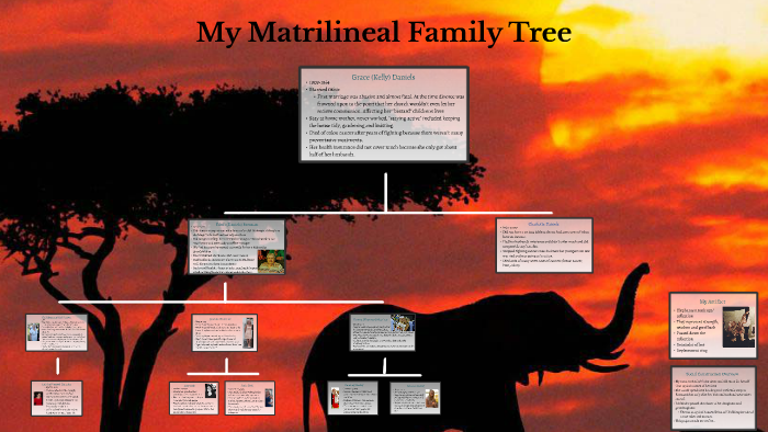 My Matrilineal Family Tree by Brianna Starkey on Prezi