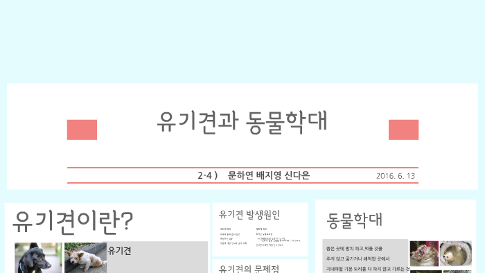 유기견과 동물학대 by daeun shin