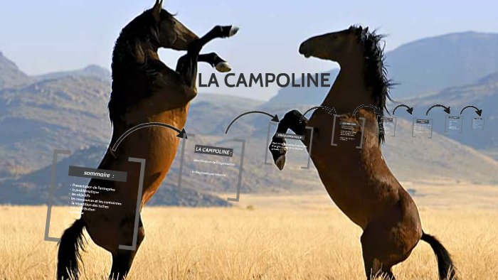 LA CAMPOLINE by Loïc Doyen on Prezi