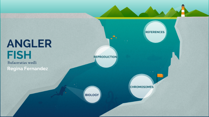 Angler fish reproduction by Regina Fernandez on Prezi