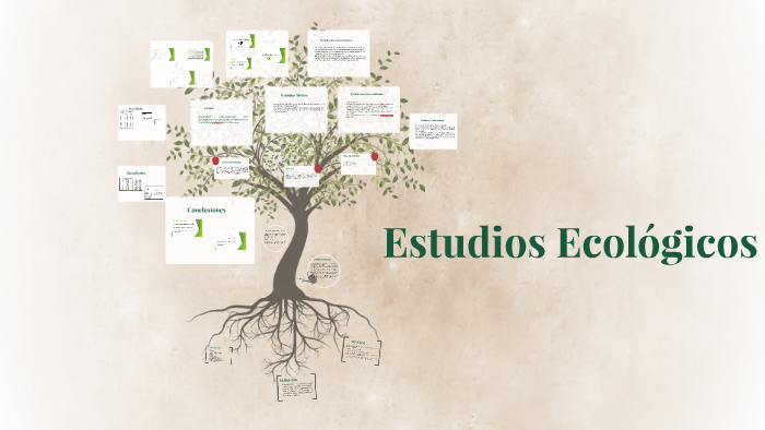 Estudios Ecológicos by Lina P on Prezi