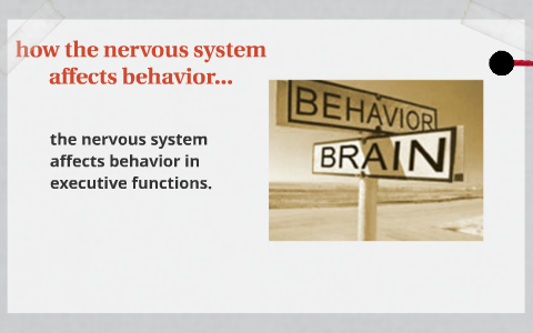 how biological factors affect behavior by KayLee Rodriguez on Prezi