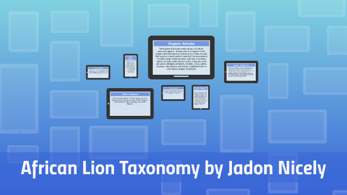 African Lion Taxonomy by Bob Haverford on Prezi