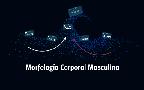Morfología Corporal Masculina by Marcela Roque on Prezi