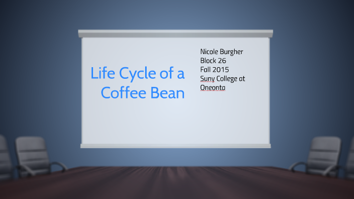 Life Cycle of a Coffee Bean by Nicole Burgher on Prezi