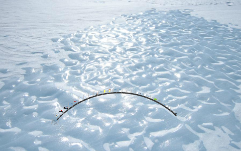 Tara and Tyree by Cory Wilkes on Prezi