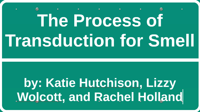 The Process of Transduction for Smell by Katie Hutchison on Prezi