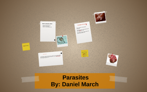 Parasites by Daniel March