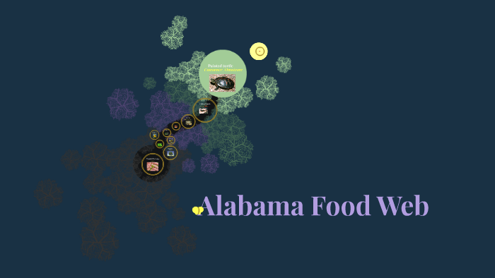 Alabama Food Web by taylor lavary on Prezi