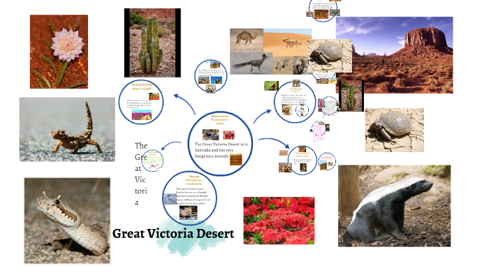 The Victoria Desert by kaylee flanary on Prezi