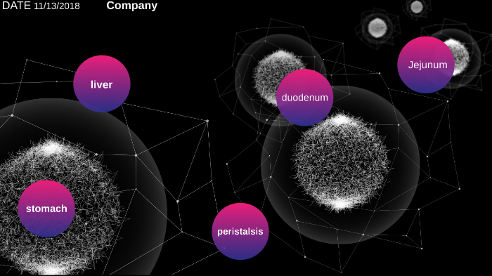 adrian digestive by Forest Avenue on Prezi