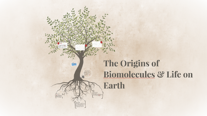 The Origins of Biomolecules & Life on Earth by An Nguyen on Prezi