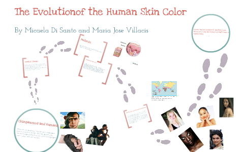 Skin color evolution by Micaela Di Santo on Prezi