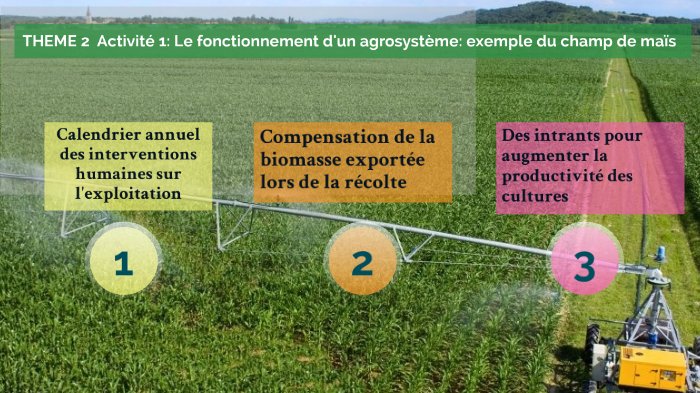 SECONDE-THEME 2: Activité 1: Le fonctionnement d'un agrosystème ...