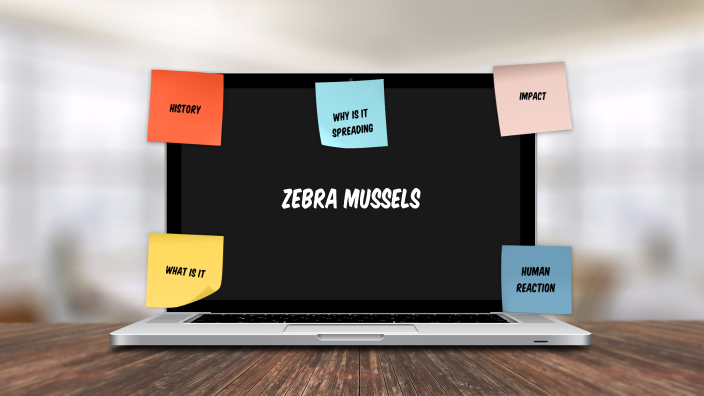 Zebra Mussels by jordan korus on Prezi