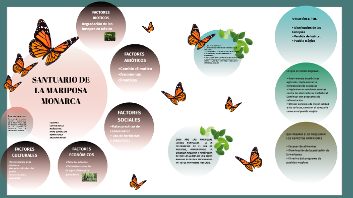 Mariposa monarca by Naila Roman Hernandez on Prezi