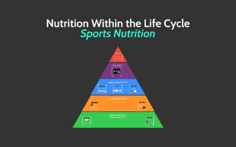 Nutrition in the Life Cycle by Brittany Dunn on Prezi