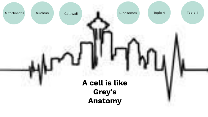 greys anatomy by Stella Ackerman on Prezi
