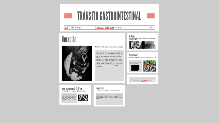 TRÁNSITO GASTROINTESTINAL by Andrea García on Prezi