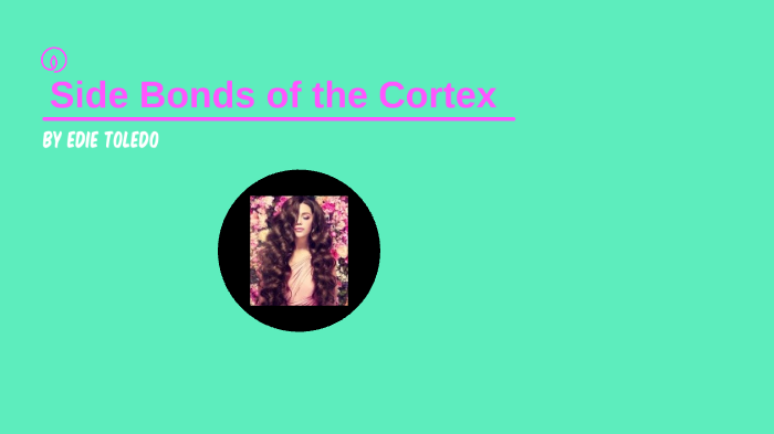 Side Bonds of the Cortex by Edie Toledo on Prezi