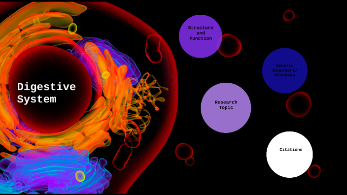 Digestive System by Sara Rusi on Prezi