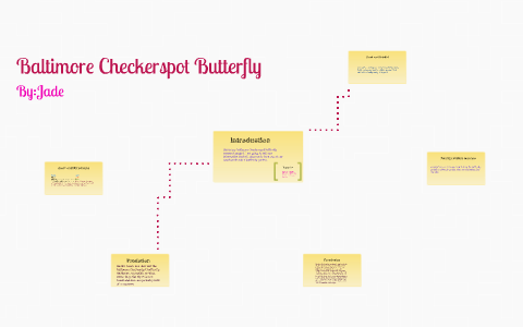 Baltimore Checkerspot Butterfly by Jade Pinkowitz on Prezi